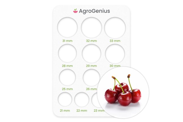 AgroGenius - Sizers - Cherry Sizing Card by AgroGenius LLC