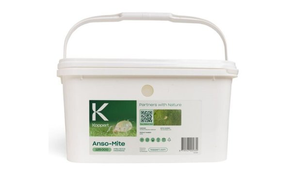 Koppert - Anso-Mite - Pest Control Products - Predatory Mites ...