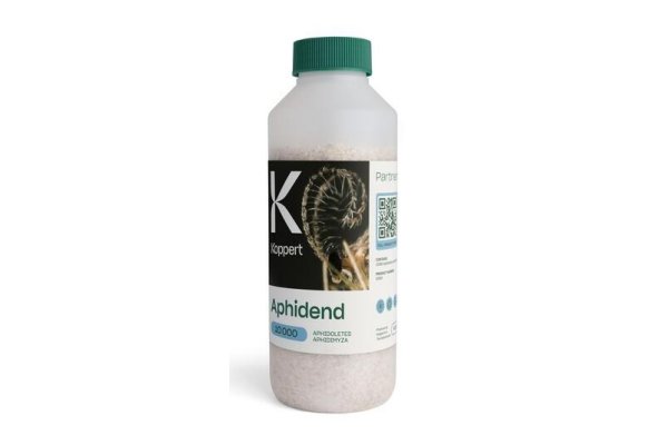 Koppert - Aphidend - Pest Control Products - Predatory Gall ...