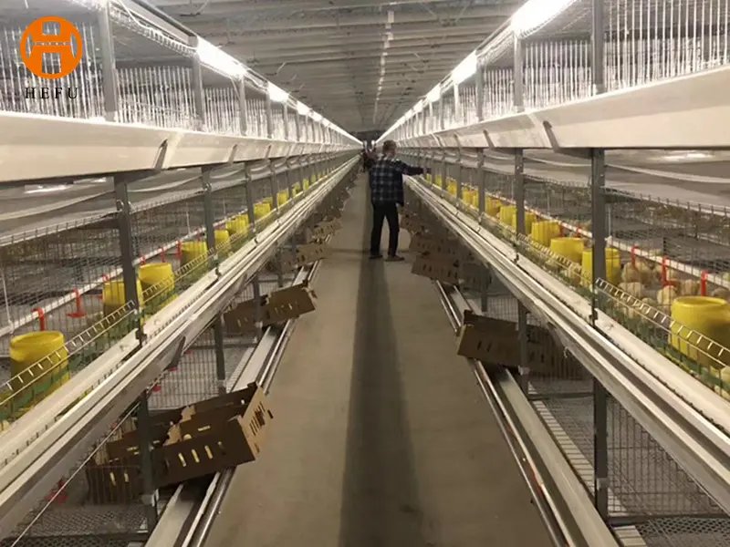 Broiler Cage System - Broiler Double Cage By Dezhou HEFU Husbandry ...