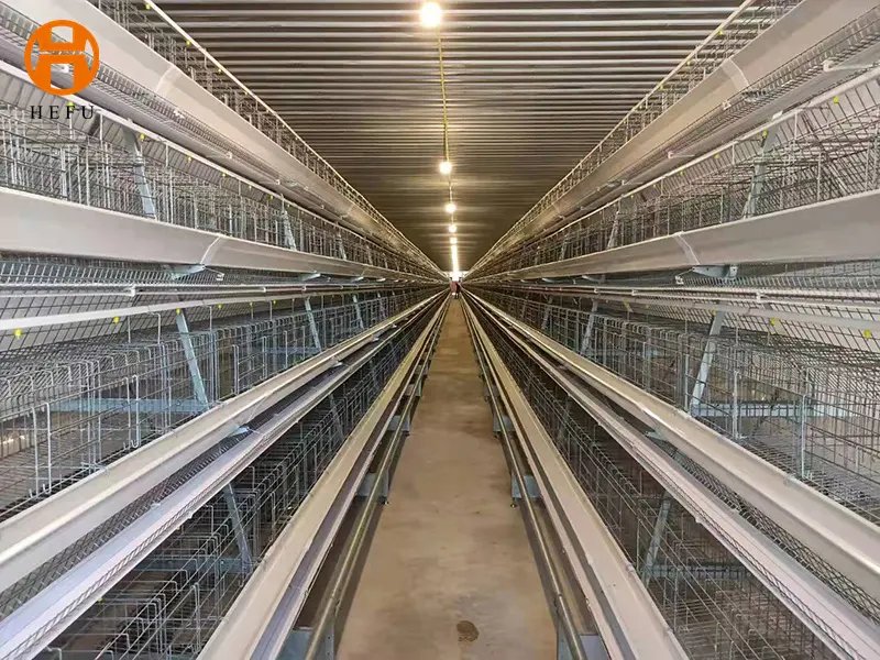 A Type - Layer Cage System - Layer Cage By Dezhou HEFU Husbandry ...