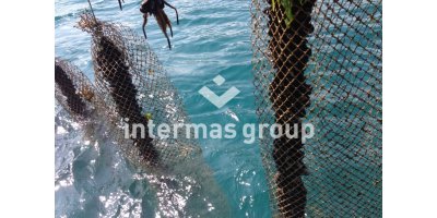 Intermas - Aquaculture Products - Shellfish Farming ...