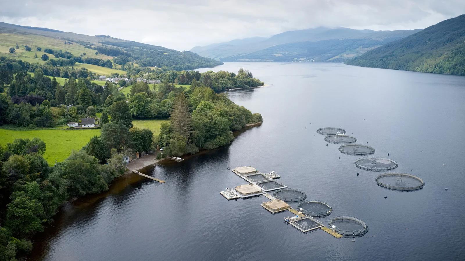 Flowcam For Aquatic - Shellfish Hatcheries And Fish Farming ...