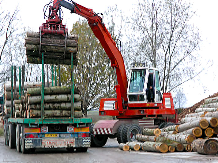 Rozzi - Timber Grabs for Logs by Rozzi SpA