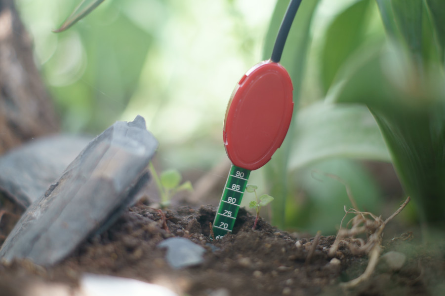 Vegetronix VH400 Stop Over-Watering With Soil Moisture Sensors