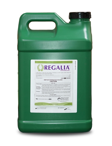 Regalia CG Biofungicide