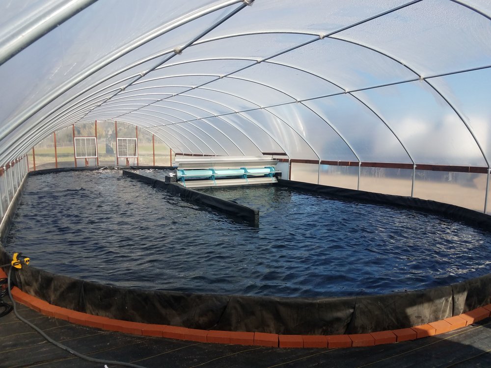 Microbio Algae Raceway RW200-RW600 Spirulina Microfarms