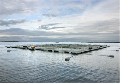 AKVA - Cage Aquaculture - Steel Pens By AKVA Group
