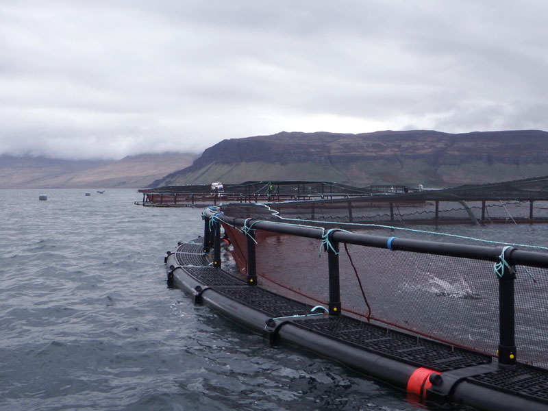 Oceanflex - 315 - Fish Farm Net Pens - Fish Farming Pen by ...
