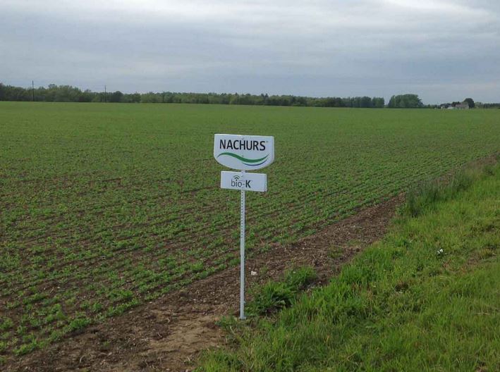 NACHURS playmaKer - Foliar Nutrition - Fertilizer by Nachurs ...