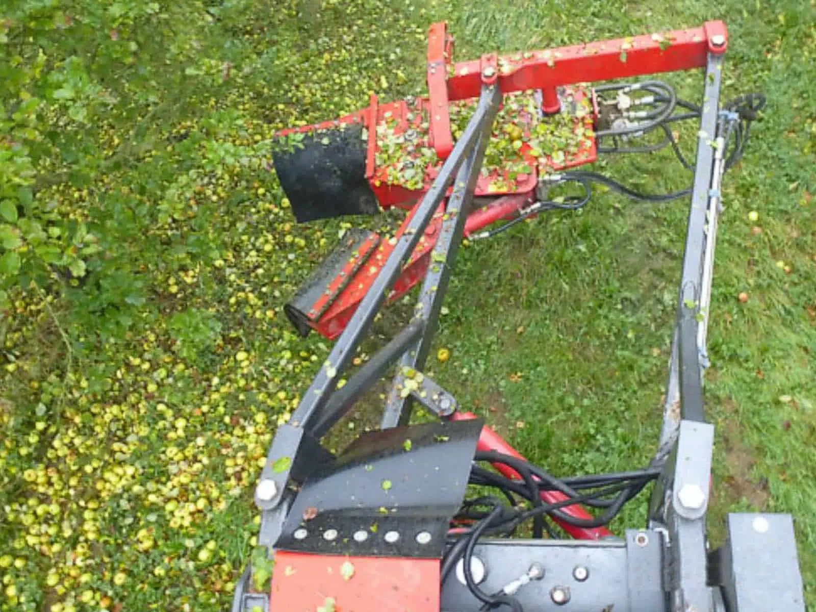 Feucht-Obsttechnik VHP Fruit Harvesting Trunk Shaker