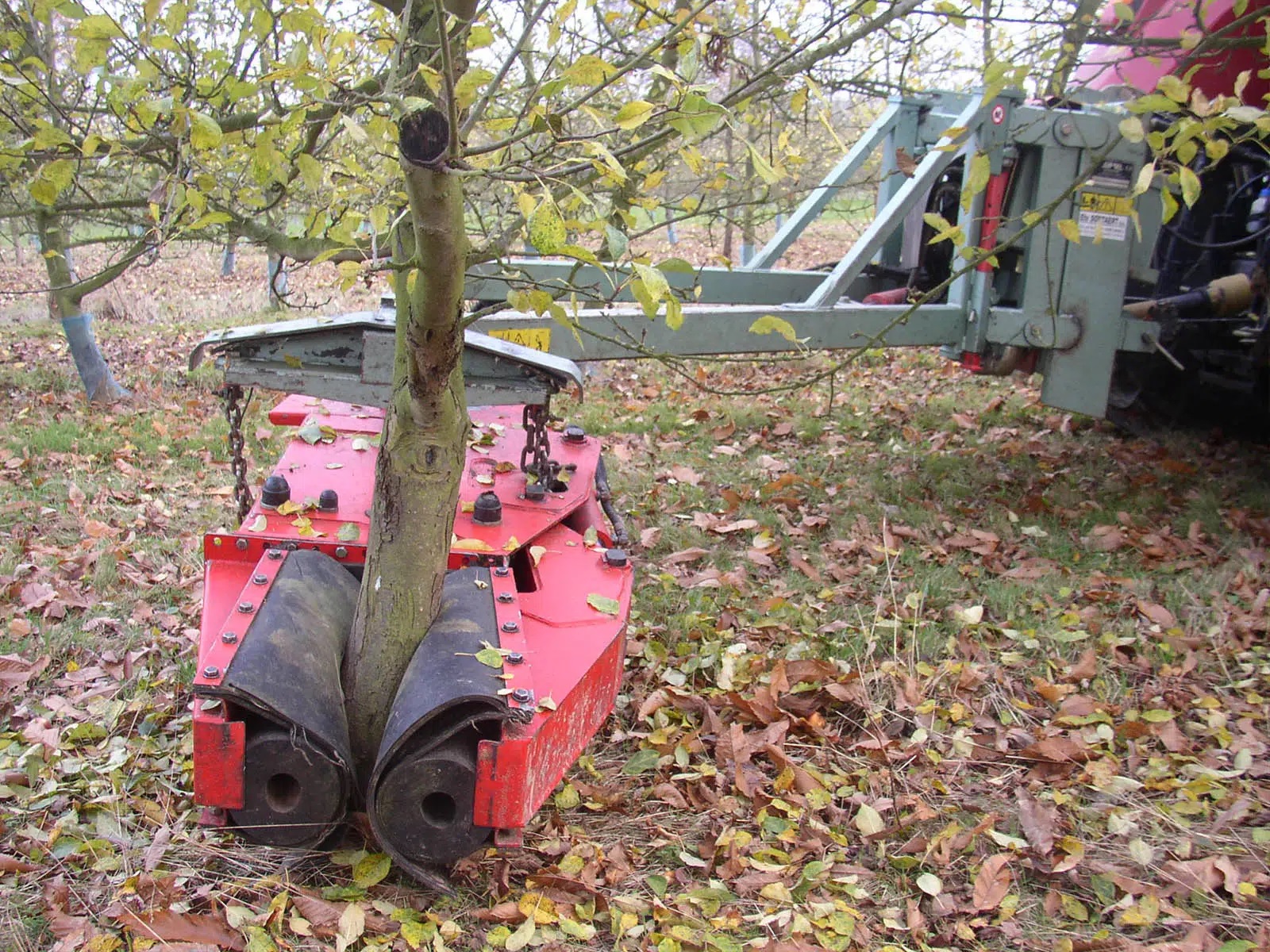 Feucht-Obsttechnik VHP Fruit Harvesting Trunk Shaker