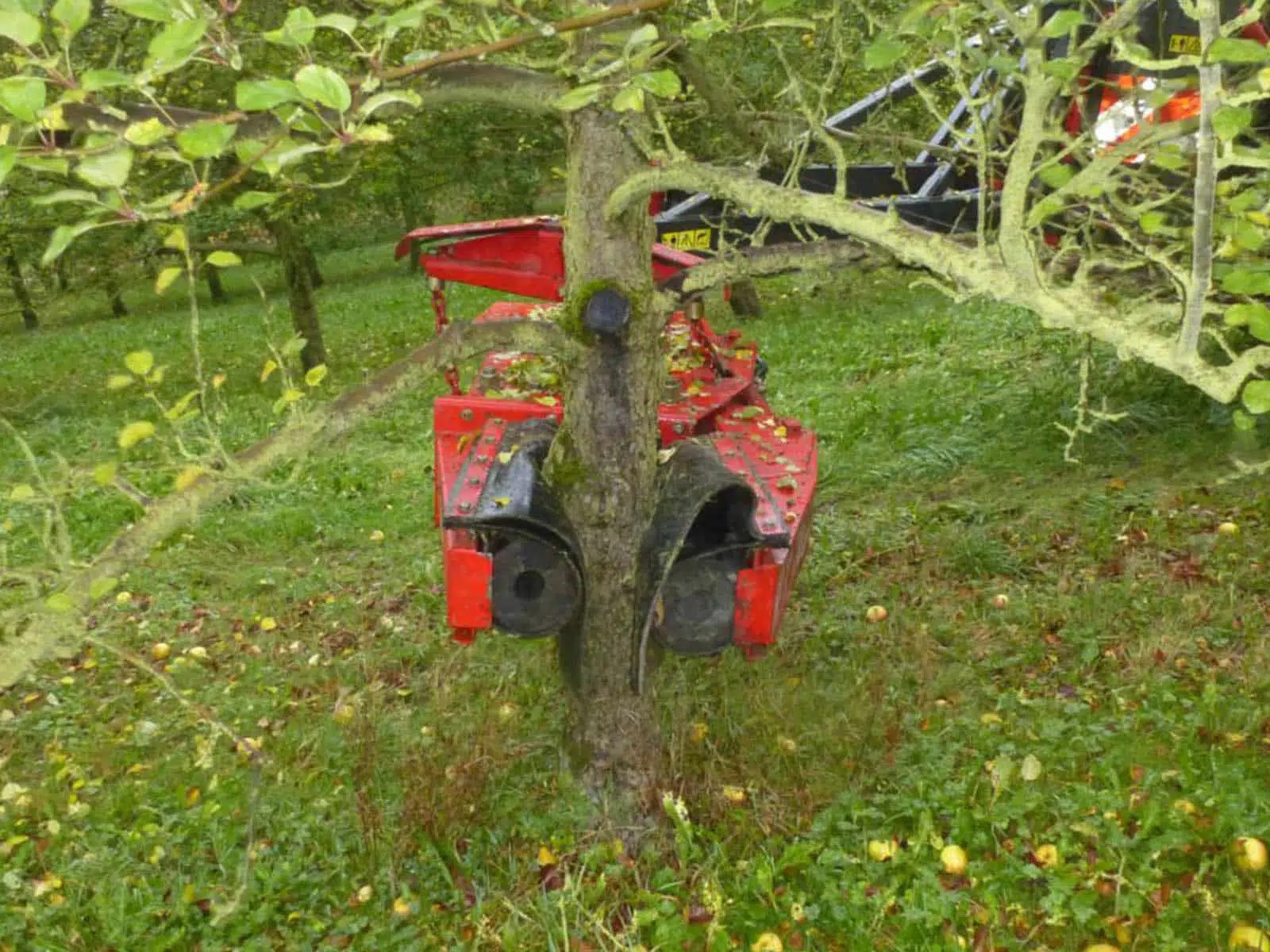 Feucht-Obsttechnik VHP Fruit Harvesting Trunk Shaker