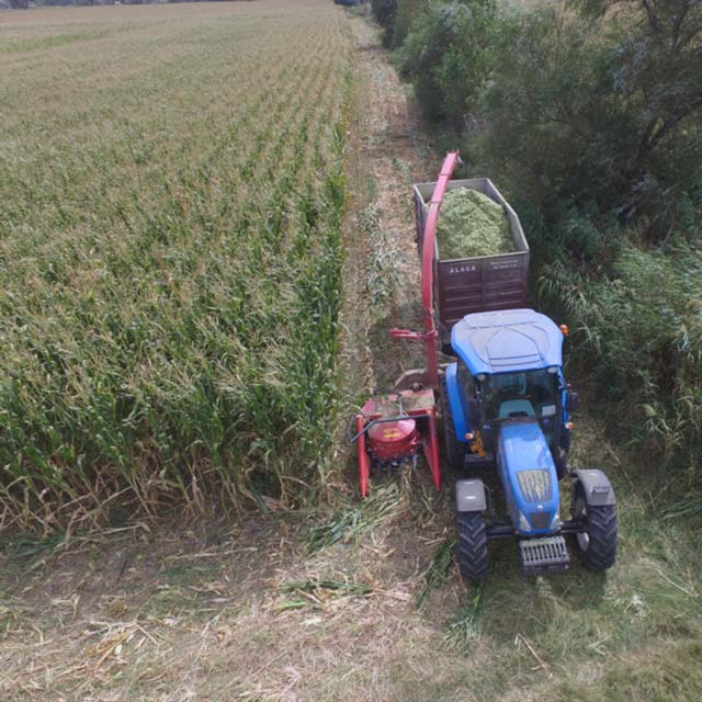 FIMAKS BIGDRUM 1250 2 Row Independent Corn Chopper