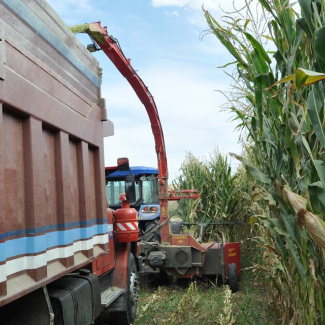 FIMAKS BIGDRUM 1250 2 Row Independent Corn Chopper