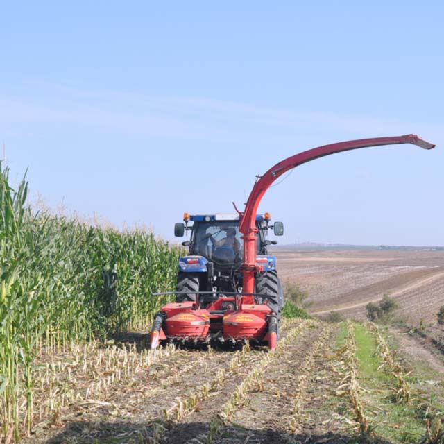 FIMAKS BIGDRUM 2200 3 Row Independent Corn Chopper