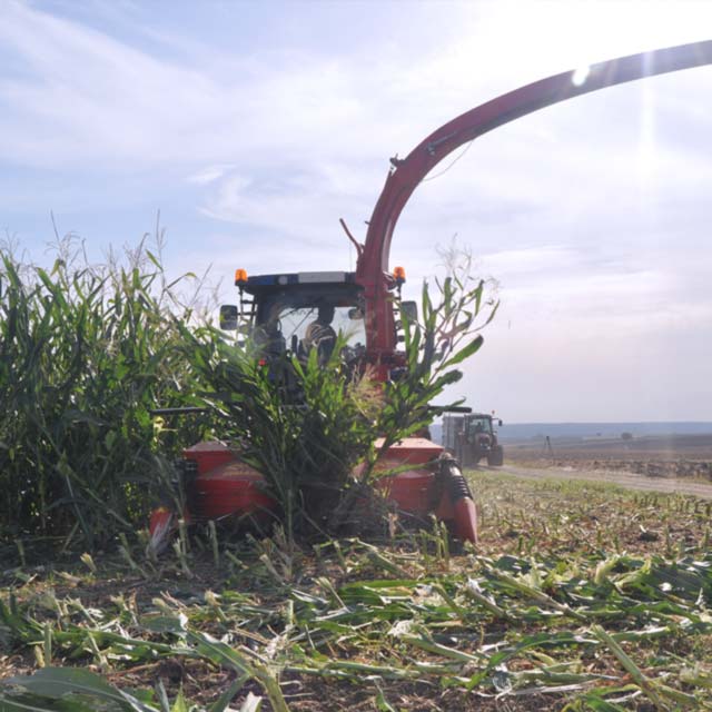 FIMAKS BIGDRUM 2200 3 Row Independent Corn Chopper