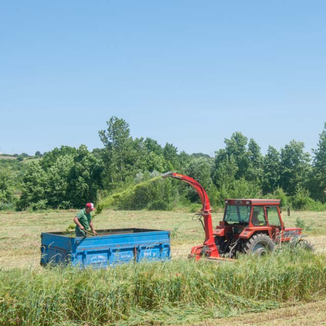 FIMAKS - DOUBLE CHOP 1500 - FORAGE HARVESTERS - Forage ...
