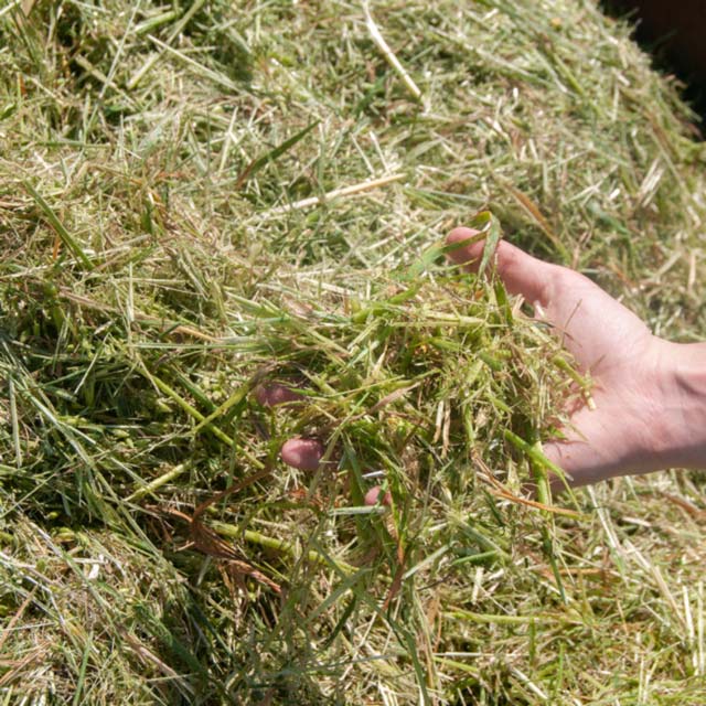 FIMAKS - DOUBLE CHOP 1500 - FORAGE HARVESTERS - Forage ...