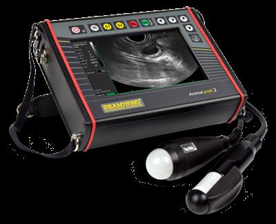 DRAMINSKI - PROFI 2 - Ultra Sounds - Ultrasound is Ideal by ...