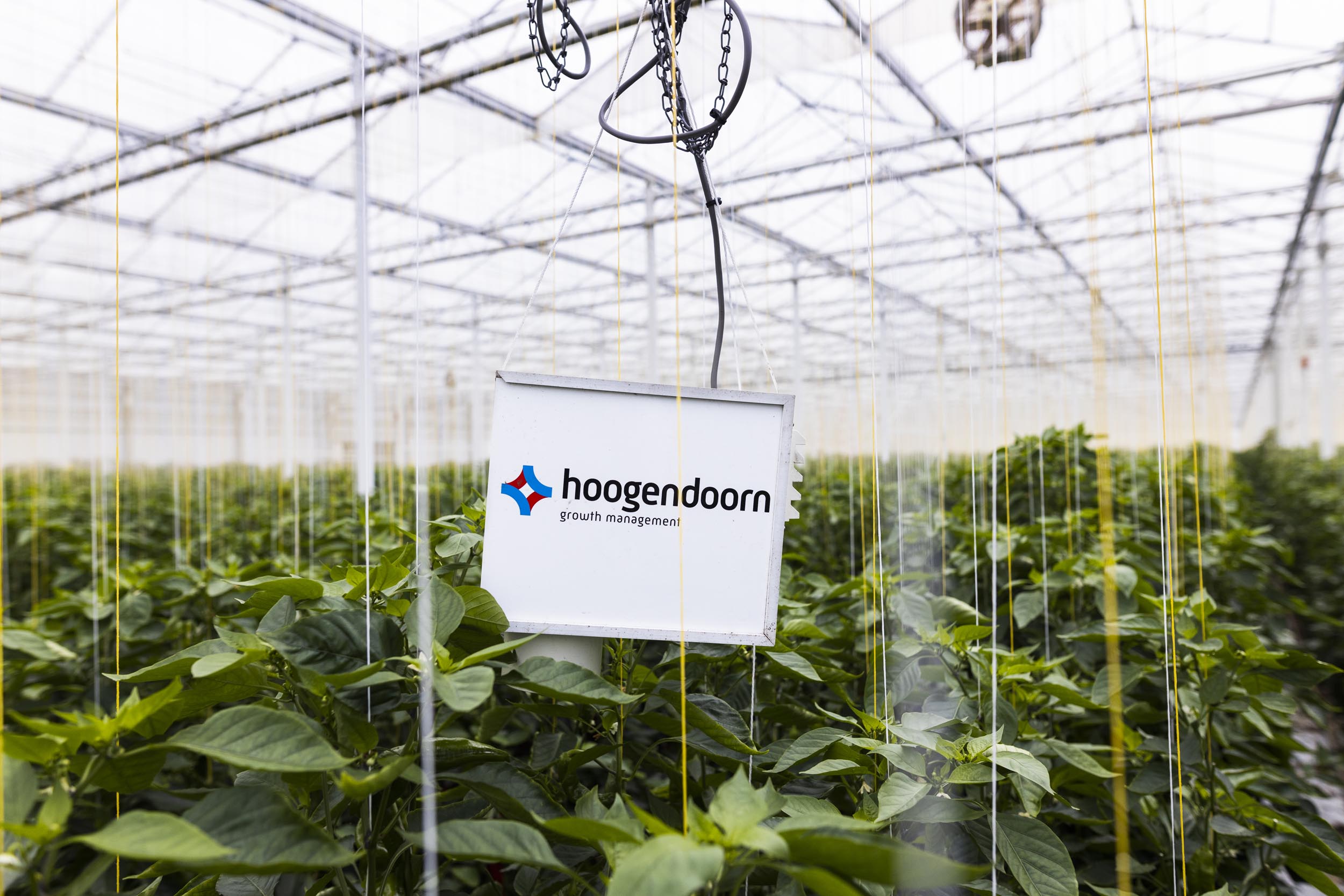 Hoogendoorn - Solutions - Sensors - Sensors Measure Both Inside And ...