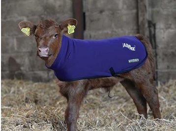 Allflex - Cattle Healthcare - Calving - Calf Coat by Allflex ...