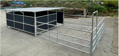 Symms Fabrication Calf Housing Solution For Disease Prevention And Cost ...