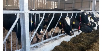 Gates - Feed Barriers - Diagonal Feed Barrier by Teemore ...