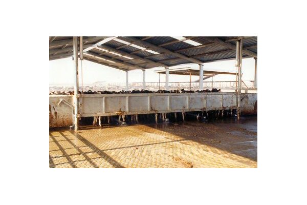 Vandenberg - Crowd Gates - Crowd Gates By Vandenberg Mfg.