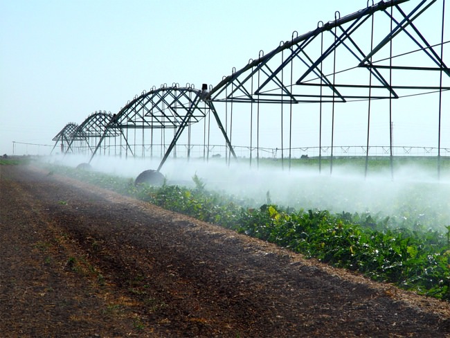 Tecno Centre Pivot Circular Irrigation System