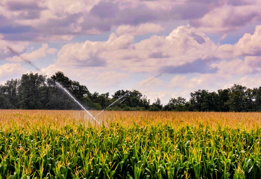 Boost The Harvest: Exploring Modern Field Irrigation Systems