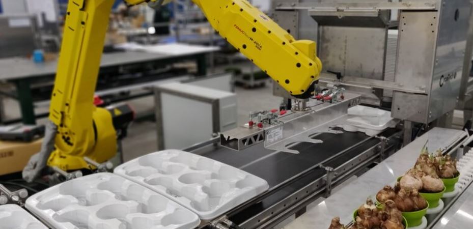 Movement - Machines And Robots - Automated Picking And Placing ...