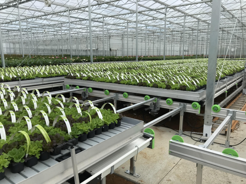 KG Greenhouses Growing Bench Systems
