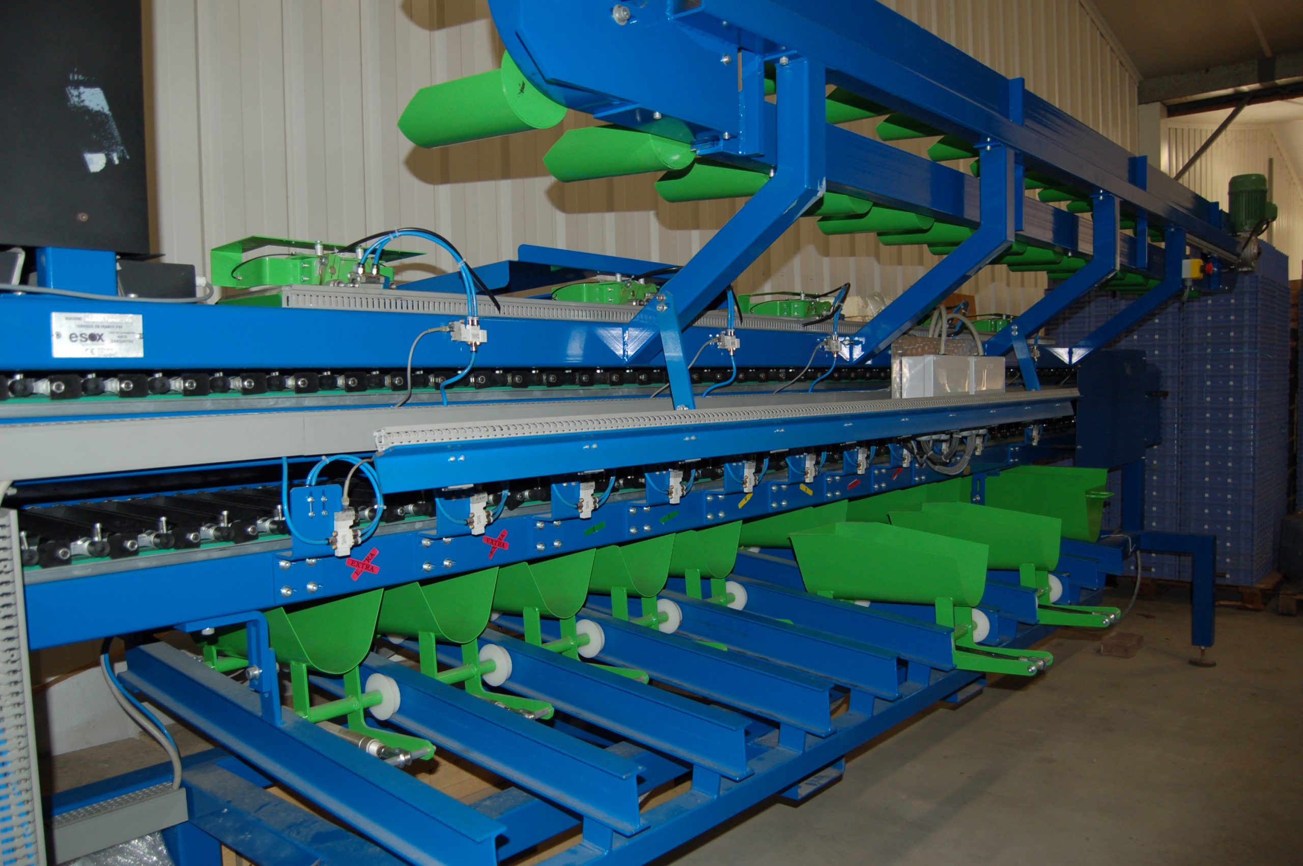 Mecaflor Trimug Lily Sorting Machine