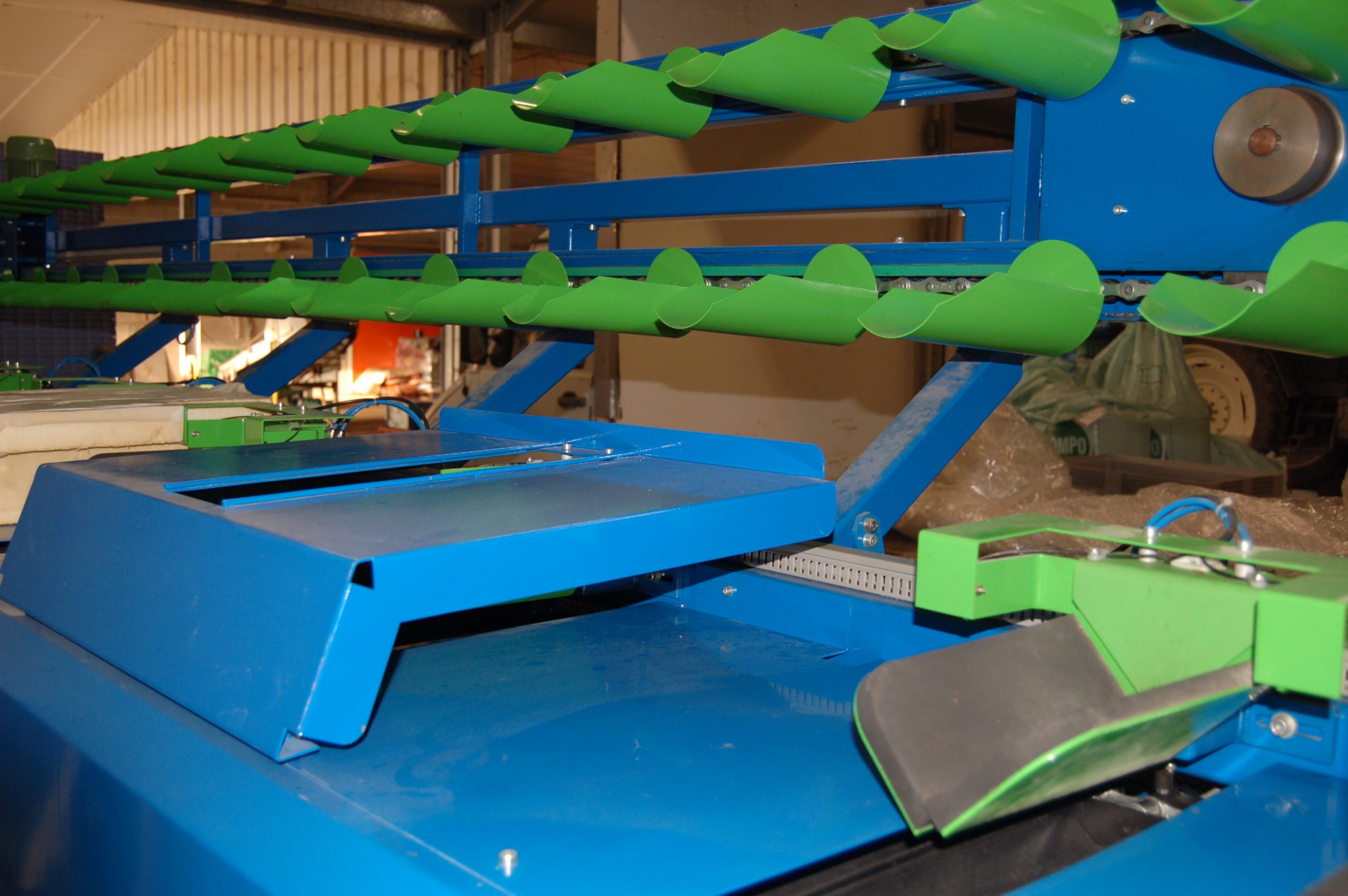 Mecaflor Trimug Lily Sorting Machine