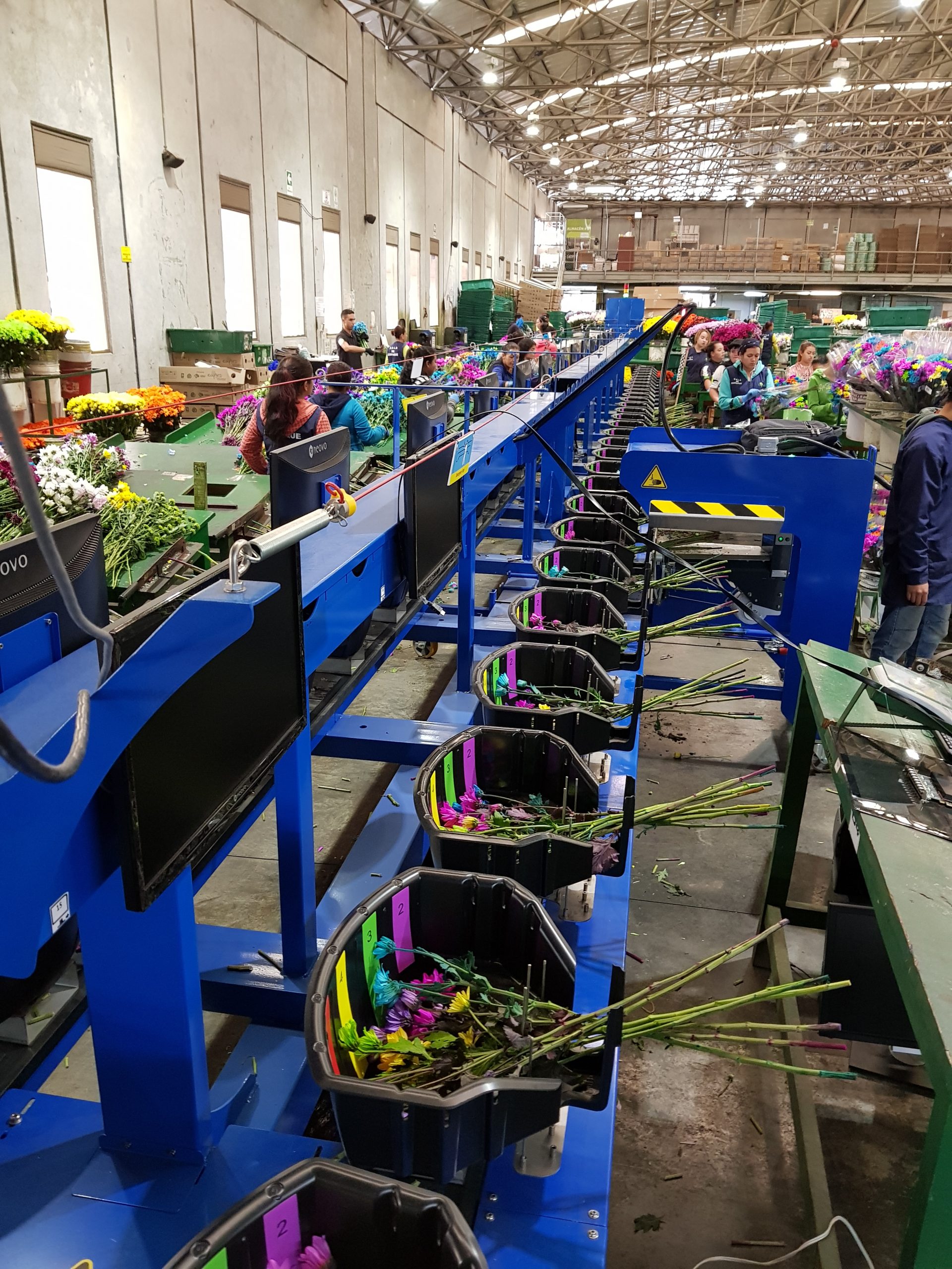 Mecaflor Hand-Tied Bouquet Machine