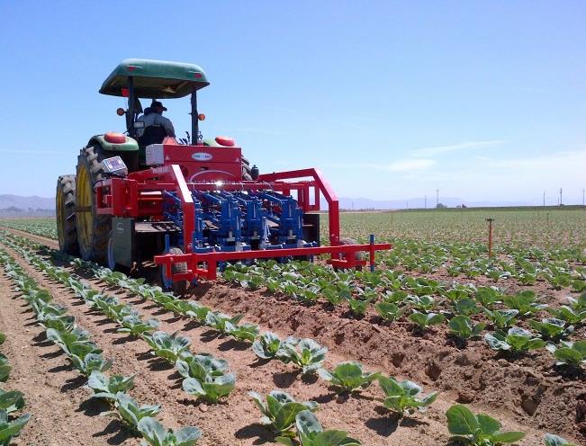 Ferrari - Inter Row Cultivators - Inter Row Hoe Weeder by ...