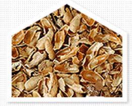 Radhe - Raw Material - Castor Seed Shell By Radhe Industrial ...
