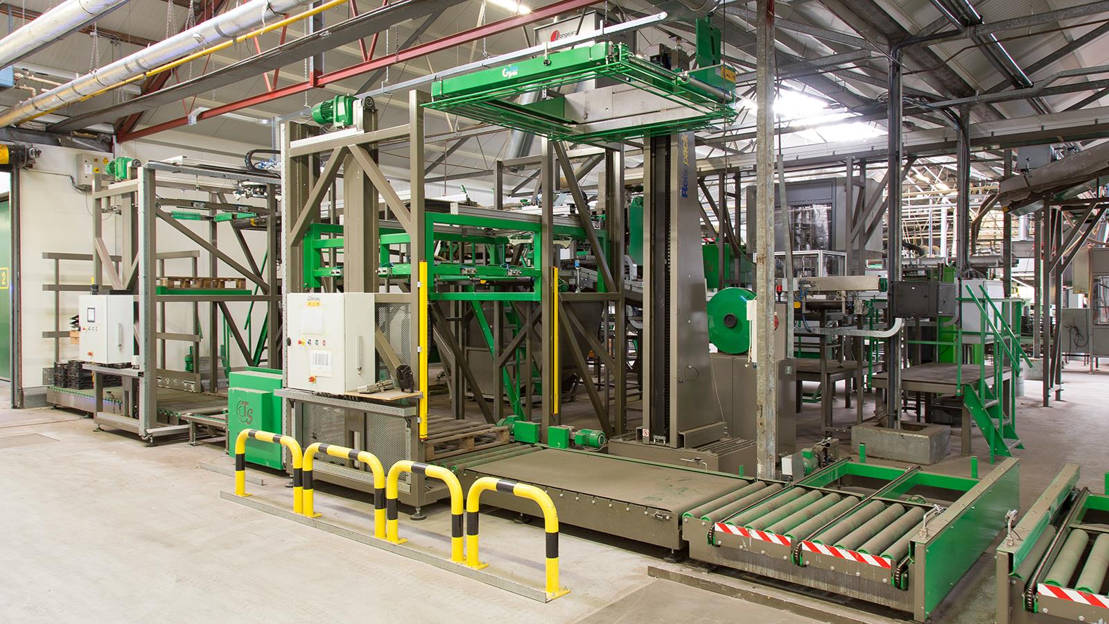 Total Systems Lily Bulb Packaging Conveyor System