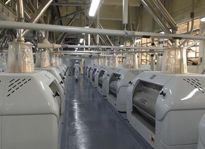 Ocrim Grain Processing Plant For Starch Production