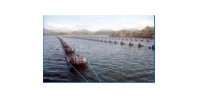Kames - Shellfish Rafts & Long Lines - Long Line by Kames ...