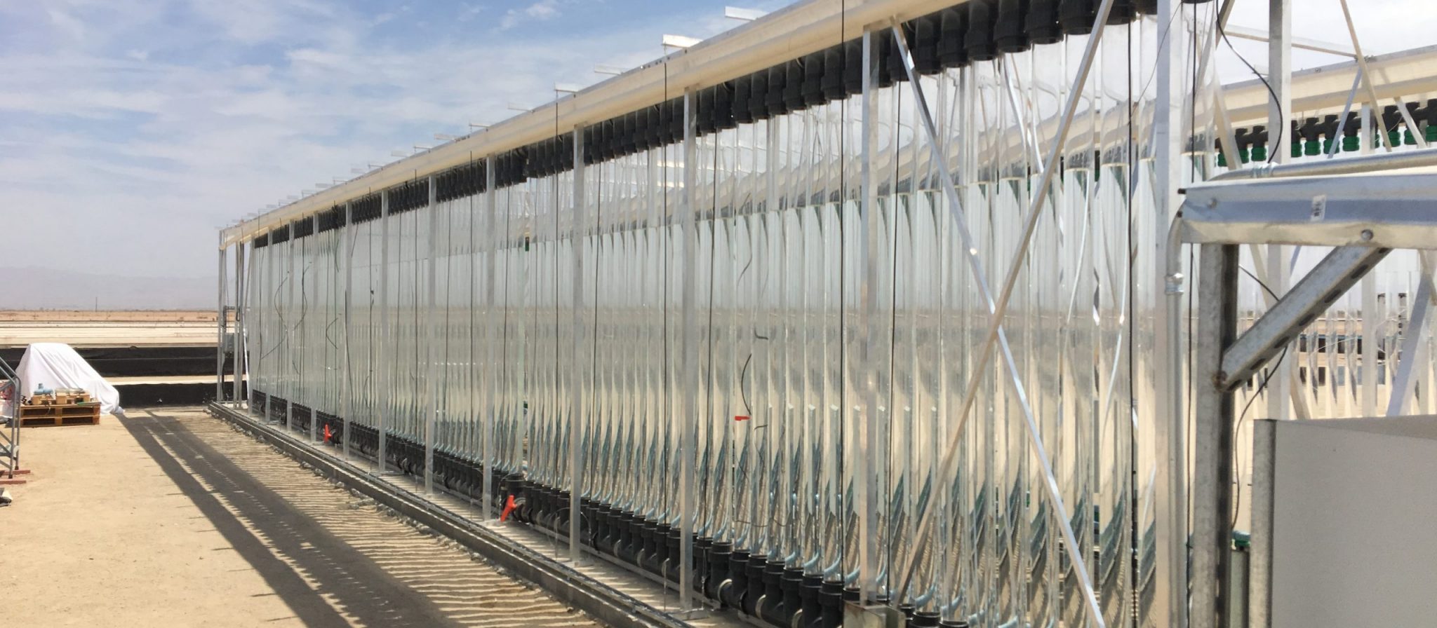 Phyco-Lift - Algae Photobioreactors - Airlift Photobioreactor ...