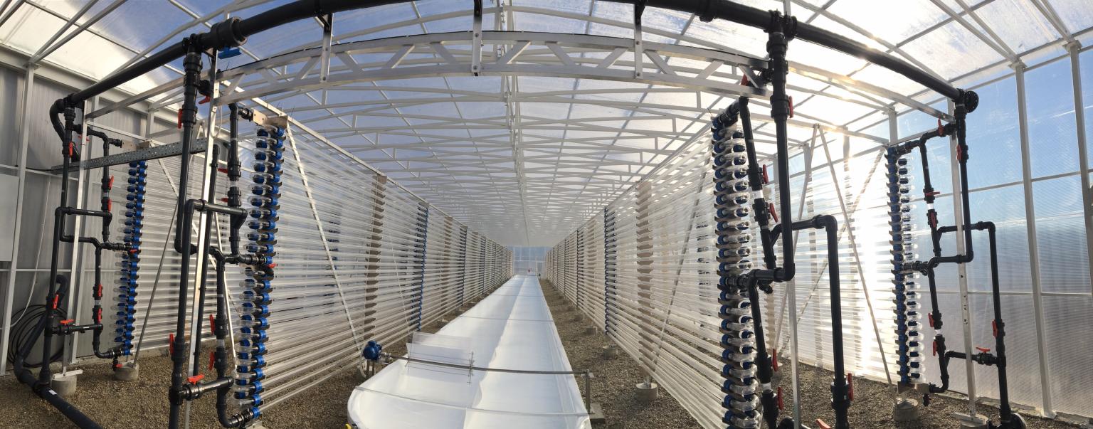 Phyco-Pond - Algae Photobioreactors - Algae Photobioreactors ...