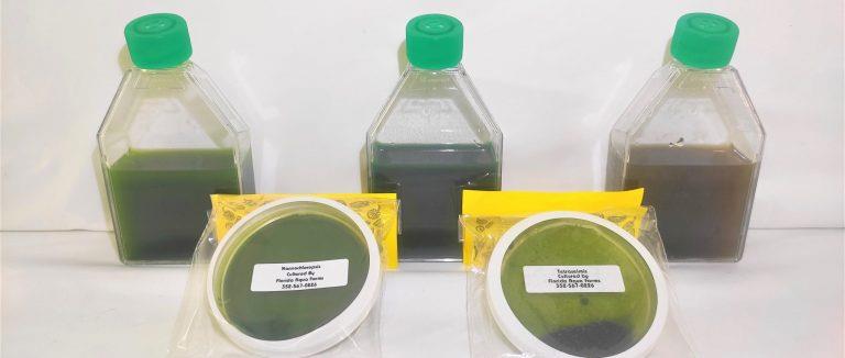 Varicon-Aqua - Aquaculture Products - Aquaculture ...