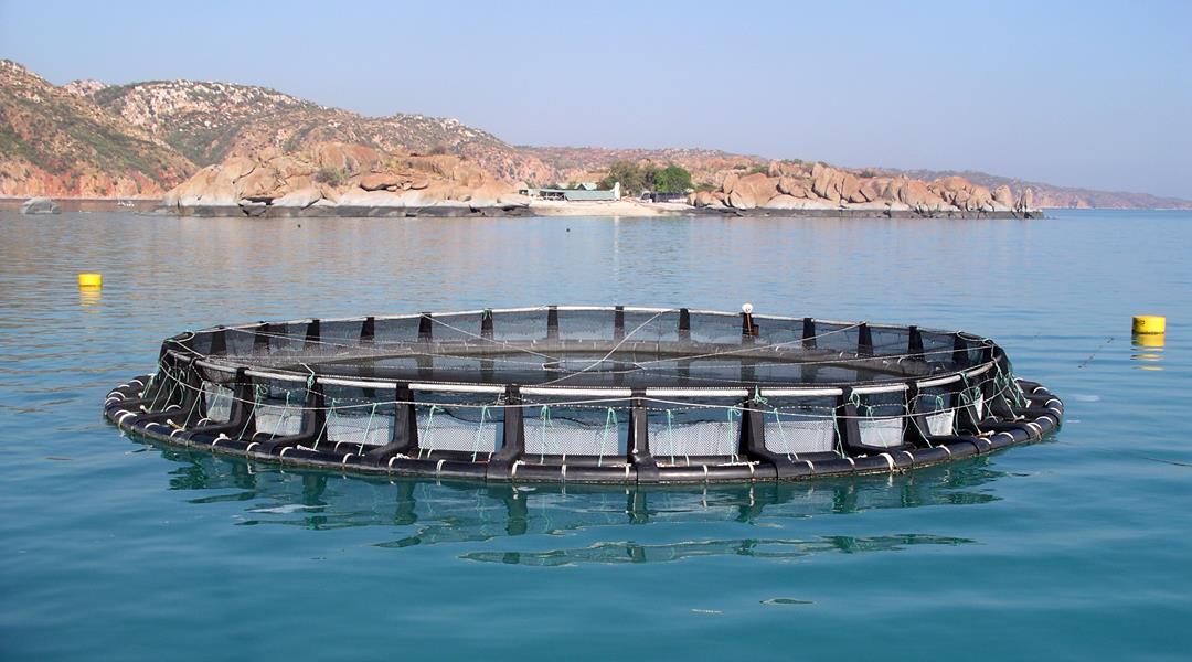 Circular Fish Pens