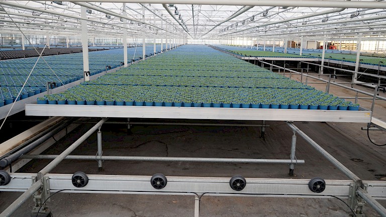 Horticultural Mobile Bench System for Plant Handling by Otte ...