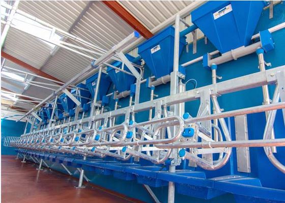 Dairymaster Swiftflo - Milking - Swing Parlour by Dairymaster