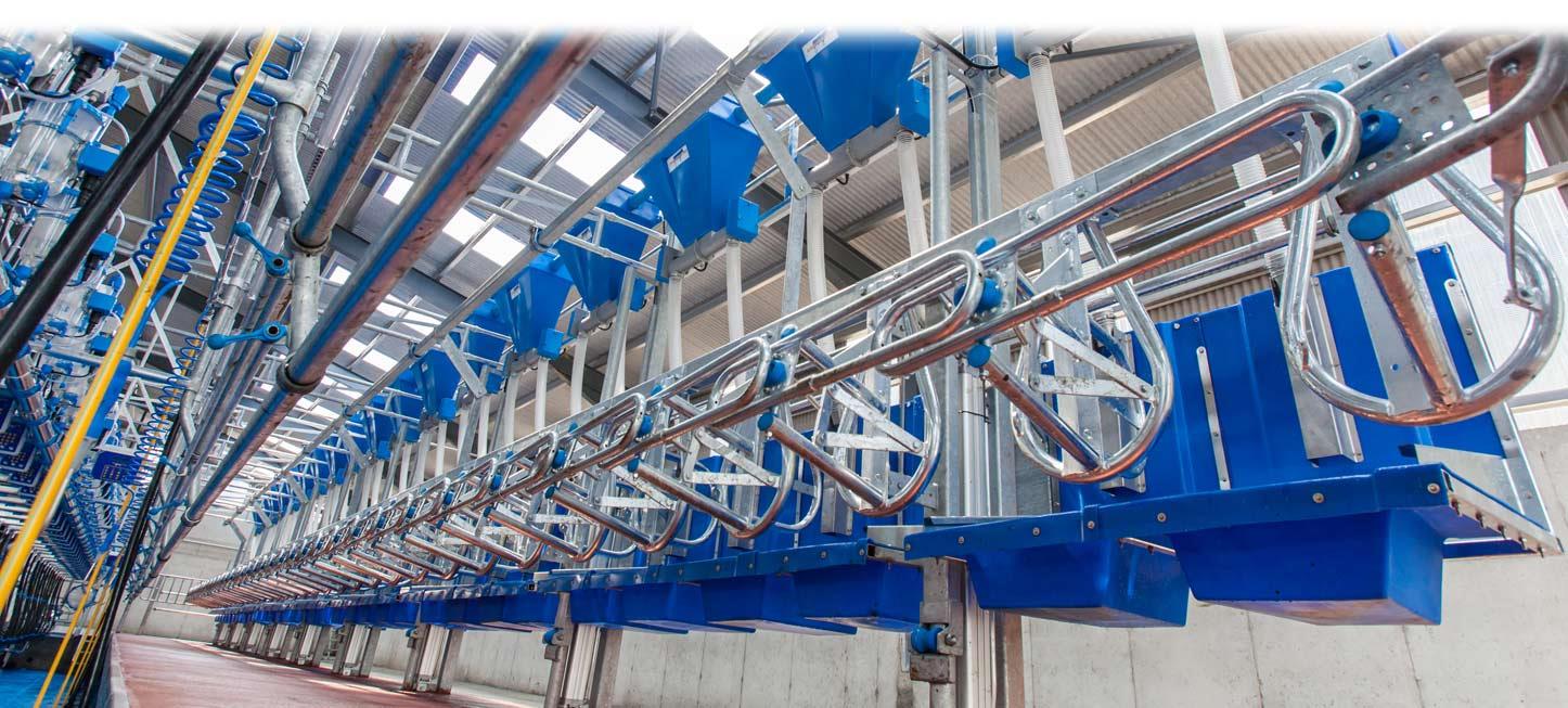 Dairymaster In Parlour Automatic Feeders