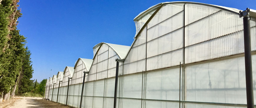 MultiArt - Greenhouses - Multi-Span - Professional ...