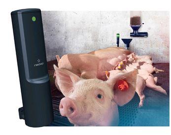 Nedap ProSense - Pig Farming - Strategic Feeding System with ...